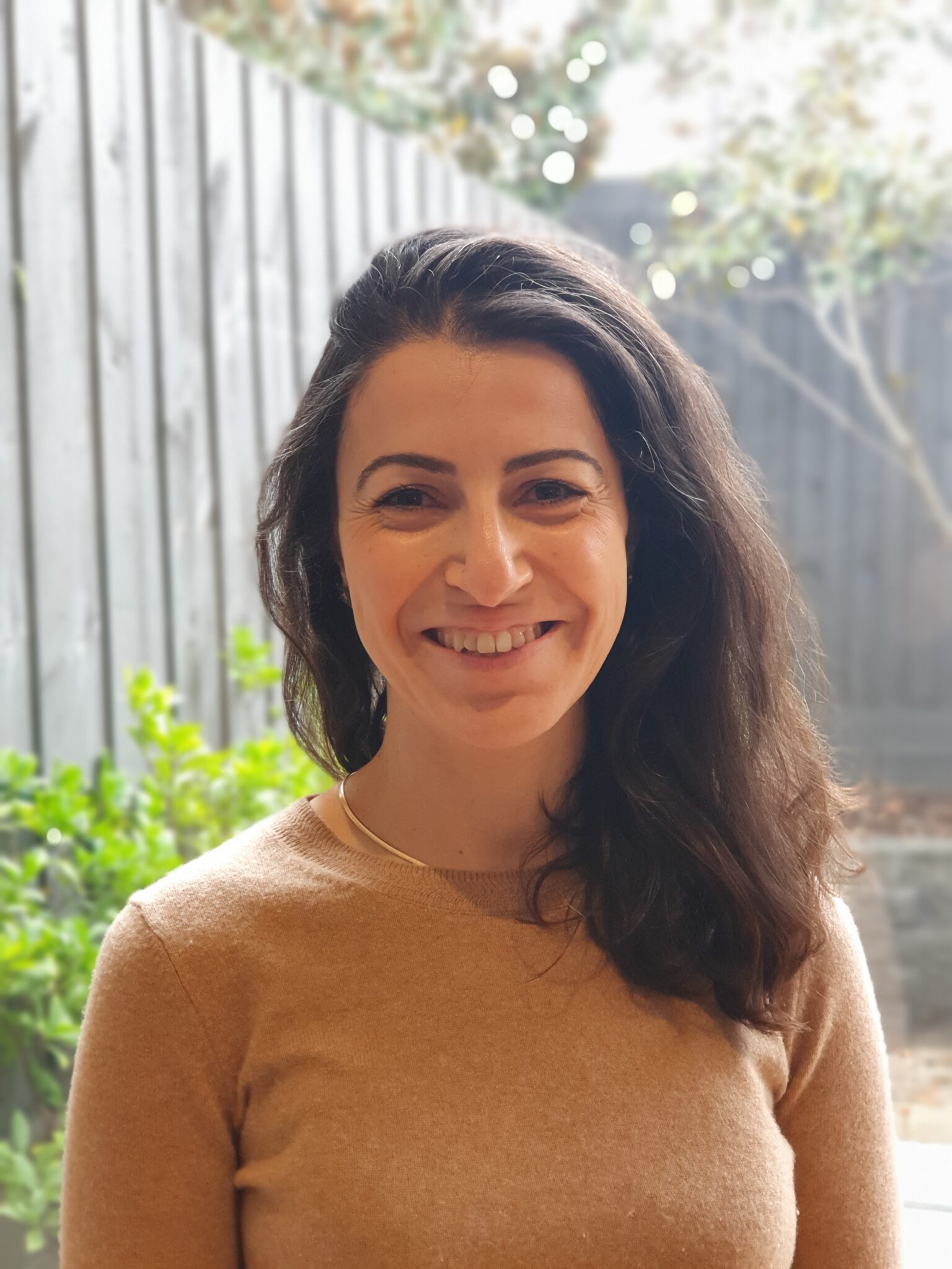 Board of Directors - South East Community Links